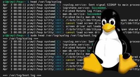 The Basics Of The Chown Command Pi My Life Up