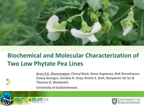 Pdf Biochemical And Molecular Characterization Of Low Phytate Pea Lines