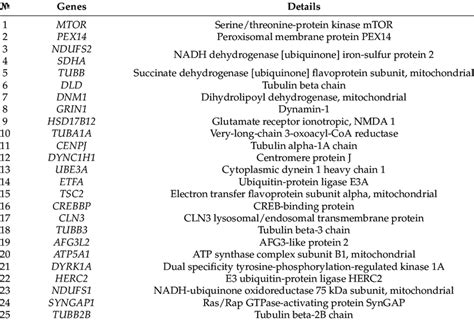 Functional Analyses Of The Identified Hub Genes Download Scientific Diagram
