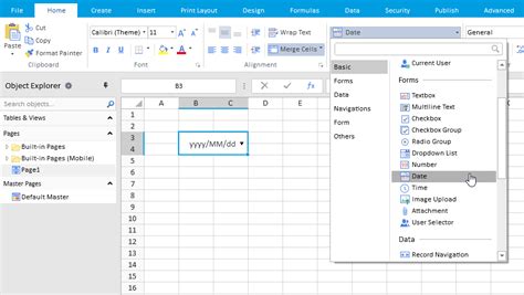 Date Forguncy Documentation