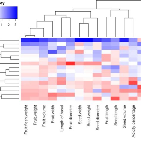 Heatmap And Hierarchical Clustering Dividing The Assessed Date Palm Download Scientific Diagram