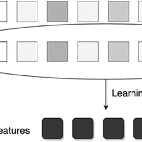 Feature Extraction Process 8 Download Scientific Diagram