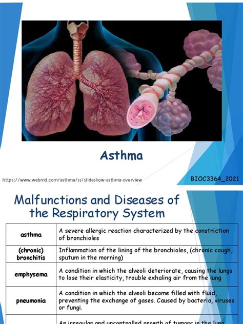 Bioc3364 2021 Lecture Notes Asthma Pdf Asthma Lung