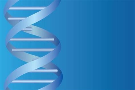 Dna — Science Learning Hub