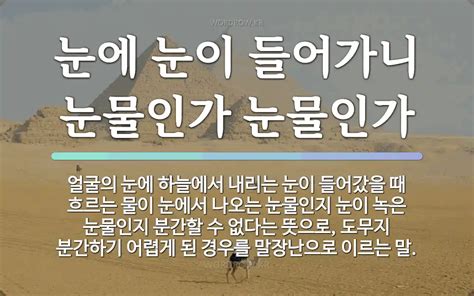 속담 눈에 눈이 들어가니 눈물인가 눈물인가