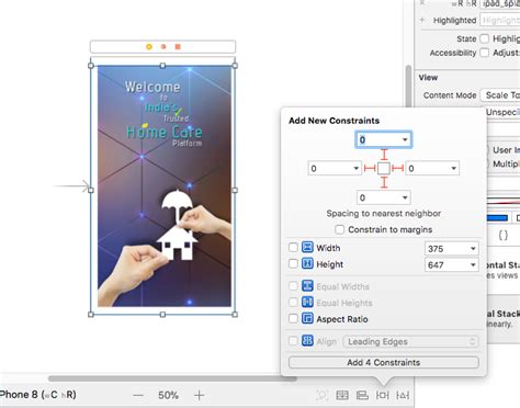 Iphone Imageview Leaves The Padding In Launch Screen In Xcode 9 2 Ios