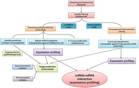 a flow chart showing the stepwise analysis along with the computational
