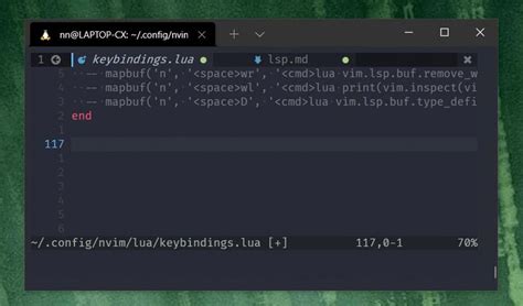 neovim 内置 lsp 配置 一 ：基础配置 知乎