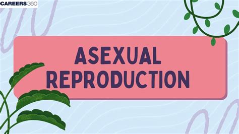 Asexual Reproduction Advantages And Examples