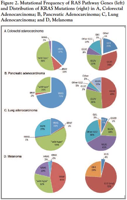 Personalized Medicine In Oncology Kras And Colorectal Cancer Shades