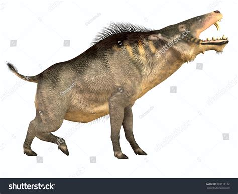Paraentelodon