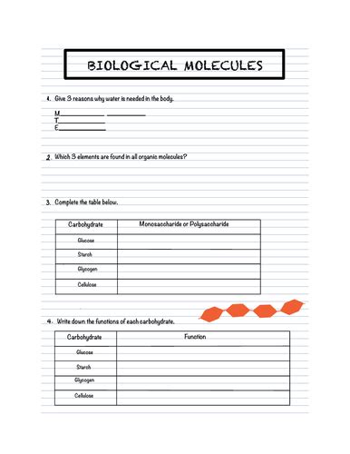 Biological Molecules Teaching Resources