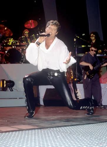 David Hasselhoff Poster 1747059 Online Best Prices