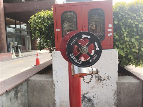 Vivo T G Review Exceptional Performance And Design While On A Budget My Mobile India