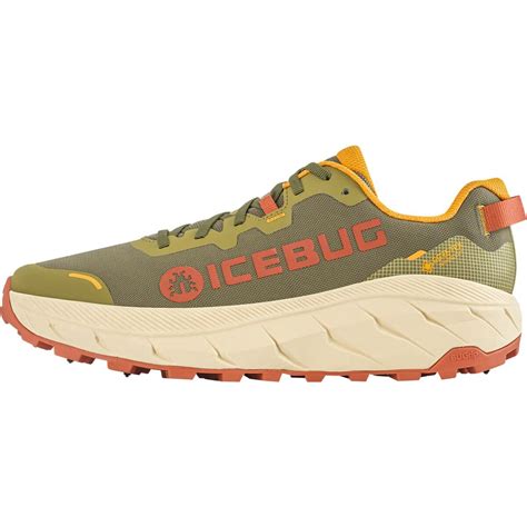Icebug Run