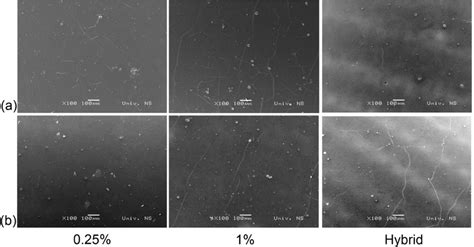 Sem Micrographs Of Samples Coated By Nanocomposite Containing A Zno Download Scientific