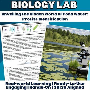 Pond Water Lab Protist Identification Biology SBI U TPT