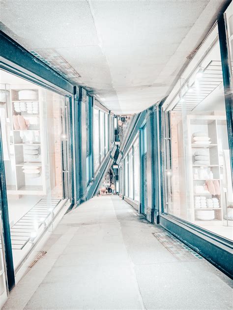 Introduction To Image Augmentations Using The Fastai Library By