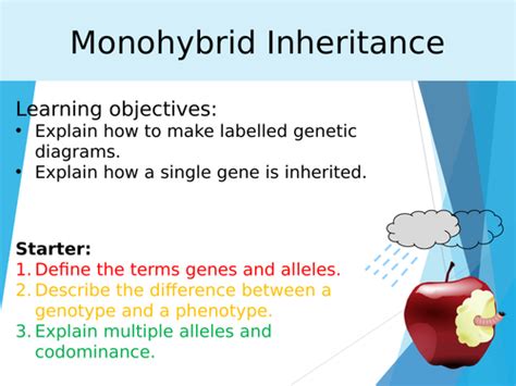 Aqa A Level Biology 172 Monohybrid Inheritance Teaching Resources