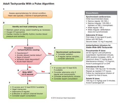 Aclsadvanced Cardiovascular Life Support7 5 Tachycardia Algorithm Aclsadvanced Cardiovascular Life Support7 5 Tachycardia Algorithm