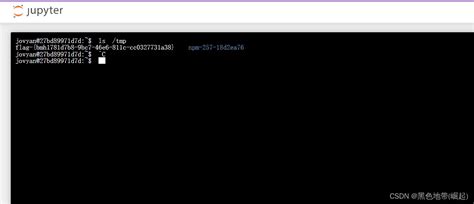 【漏洞复现 jupyter notebook 命令执行】vulfocus jupyter notebook cve 2019 9644 阿里云