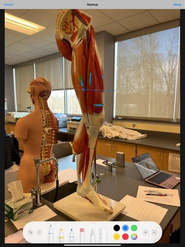 Lab Flashcards Quizlet