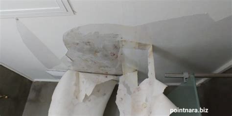 윗집 누수로인한 아파트 화장실천정 곰팡이처리하고 실크벽지로 부분도배 네이버 블로그