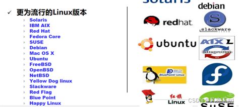 Linuxc语言学习c Linux 头文件自定义 Csdn博客