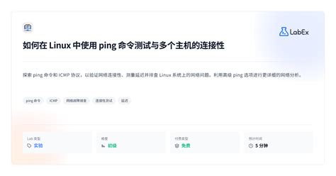 如何在 Linux 中使用 Ping 命令测试与多个主机的连接性 Labex