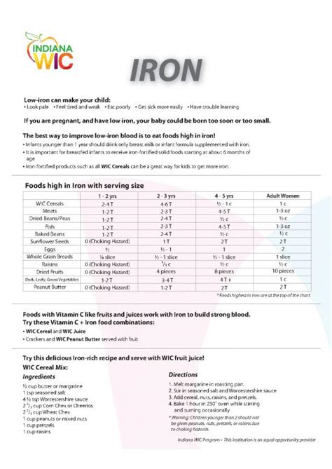Foods High In Iron Pdf Ironhandout English