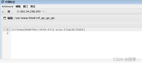 Ctfshow Web3 Web4 服务器日志文件包含ctf日志包含蚁剑 Csdn博客