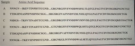 Phylogenetic Lab Report Questions Using The Amino