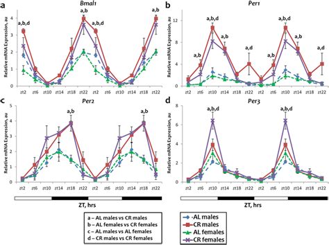 Sex Independent Expression And Response To Cr For Some Circadian Clock