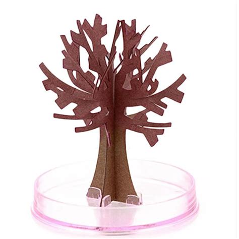 Magic Sakura Poklonicom