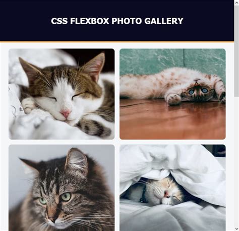 personal portfolio webpage build a personal portfolio webpage html