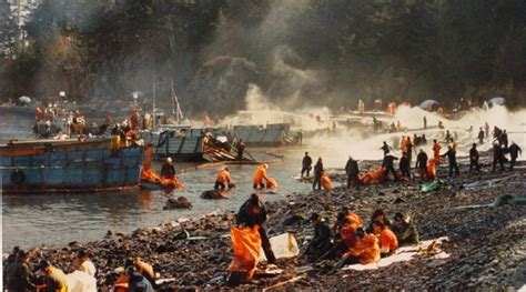 Tipos De Impacto Ambiental ¿cuáles Y Qué Son