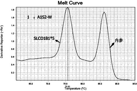 Kit For Detecting Polymorphism Of Apoe Gene And Slco1b1 Gene Eureka Patsnap
