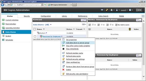 IBM Cognos Dynamic Cubes Element