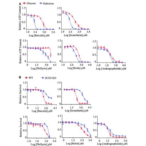 In Vitro Validation Of Mitochondrial Toxicity Of Identified Tcm Download Scientific Diagram