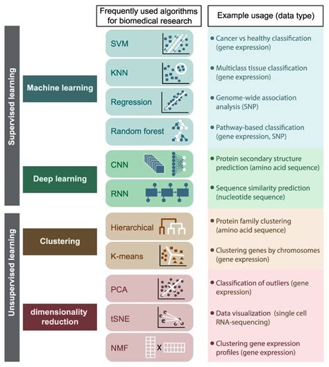 Gaurav Jain On Linkedin Machinelearning Deeplearning Bioinformatics