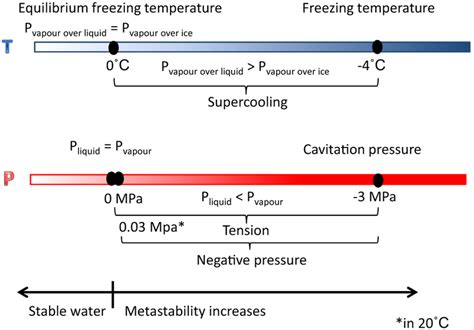 Schematic Presentation Of The Used Terminology Related To Temperature Download Scientific