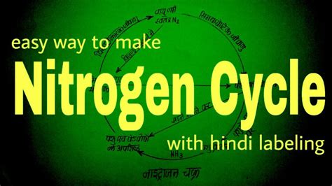 Nitrogen Cycle Wallpapers Wallpaper Cave