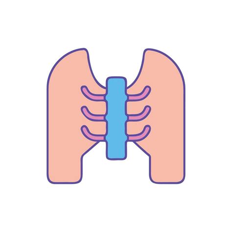 Xiphoid Process Detailed Anatomy 55729306 Vector Art At Vecteezy