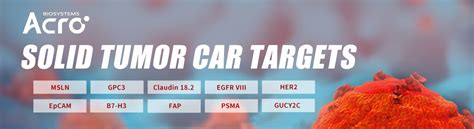 Solid Tumor Car Targets Acrobiosystems