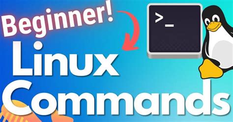 sudharshan mutalik on linkedin 🐧🖥️ linux basics a command line
