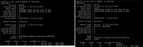 How To Reset Raid1 Volume Degraded Flag Or Expansion Status My