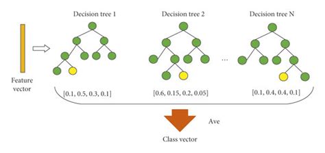 Example Of A Class Vector Generation In A Random Forest The Rectangle Download Scientific