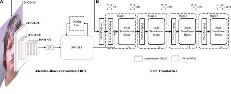 Frontiers Face Based Age Estimation Using Improved Swin Transformer With Attention Based