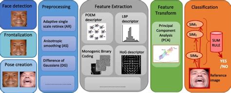 Schema Of The Proposed Face Recognition Ensemble Download Scientific
