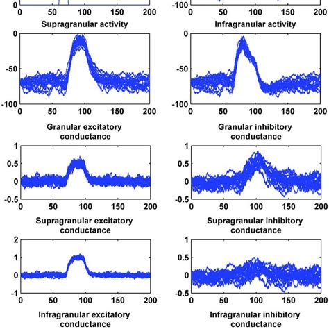cortical column architecture a cortical column is segregated into